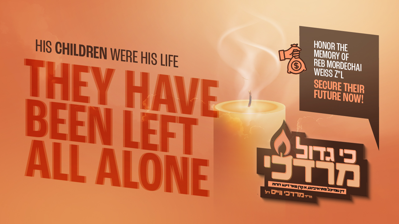 Akiva Hersh Klein & Gedalya Szegedin - Weiss | Dryve