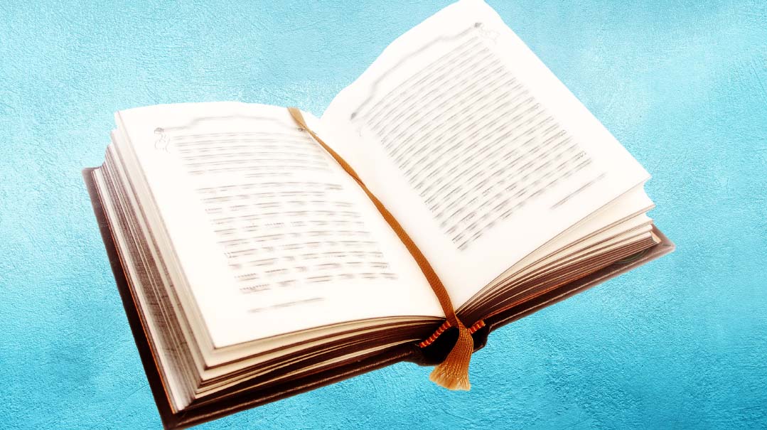 Continuing to Thrive Bnos Yaakov 2025 | Dryve