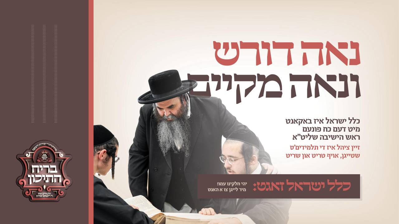 Toras Tzvi | Dryve