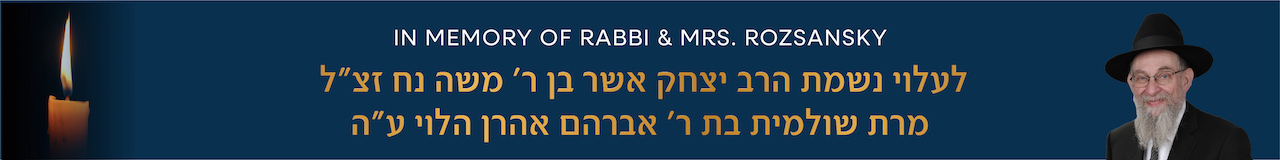 Tiferes Bais Yaakov | Dryve
